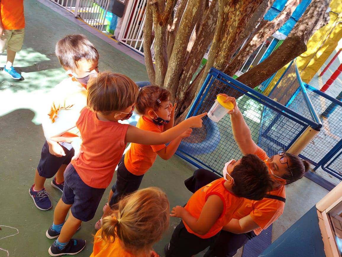 Conheça o PEA - Programa de escolas associadas da Unesco.